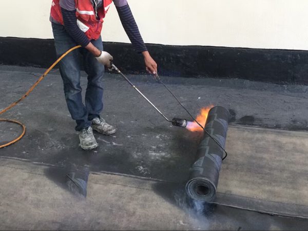 SikaShield P24 S 3mm (Cuộn 1mx10m) - Sika chống thấm - Delta Việt Nam ...